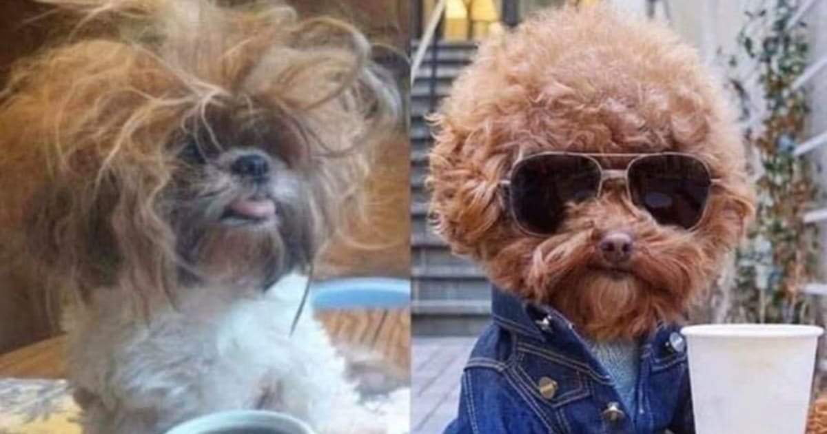 In case you need a chuckle today | Fairygodboss