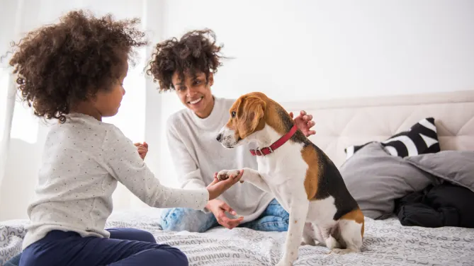 9 Tips for Practicing Positive Discipline With Your Kids