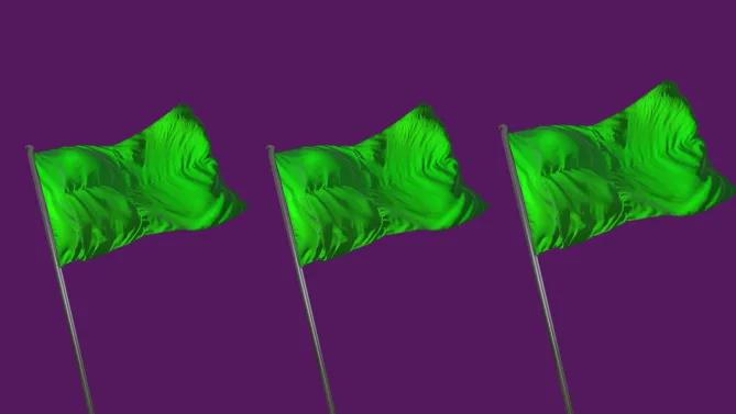 6 Green Flags You Absolutely Want To Read in a Job Description Instead ...
