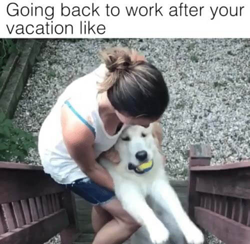 35 Perfectly Fitting Going-to-Work Memes | Fairygodboss