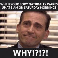 35 Hilarious Memes That Prove We Deserve to Nap in the Office ...