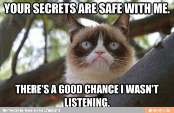 35 Hilarious Distraction Memes | Fairygodboss