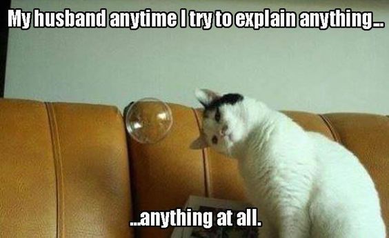 35 Hilarious Distraction Memes | Fairygodboss