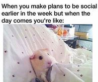 35 After-Work Memes We Can All Relate To | Fairygodboss