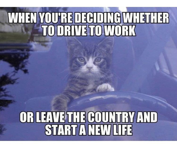 45 Way-Too-Funny Work Stress Memes That Will Make You Go ‘Same ...